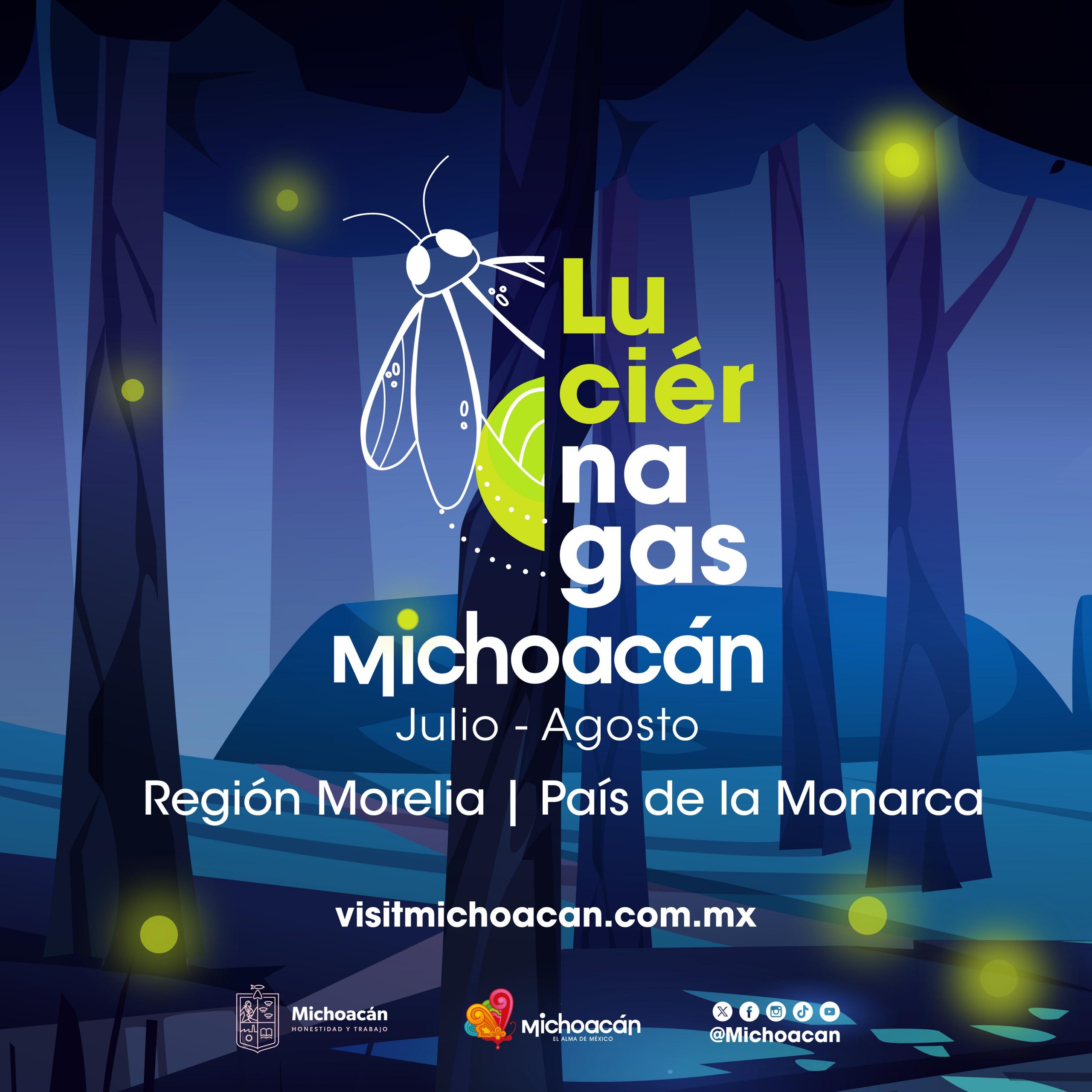 Habrá recorridos para visitar a las luciérnagas en Michoacán – El Clarín