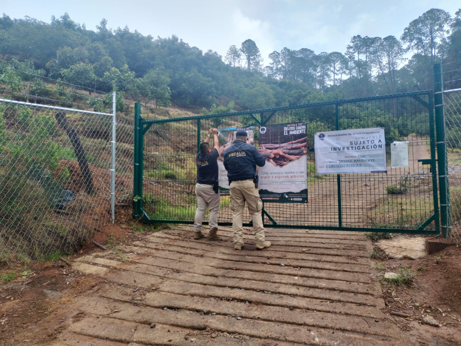 En el marco de la estrategia Guardián Forestal, FGE redobla esfuerzos ...
