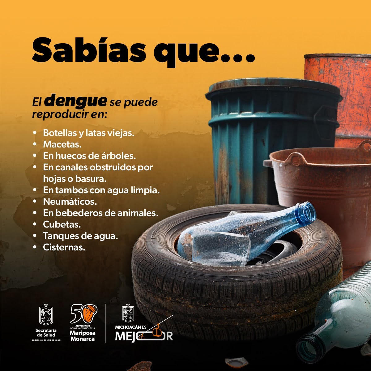 Mantén tu casa libre de dengue con estas recomendaciones de la SSM – El Clarín