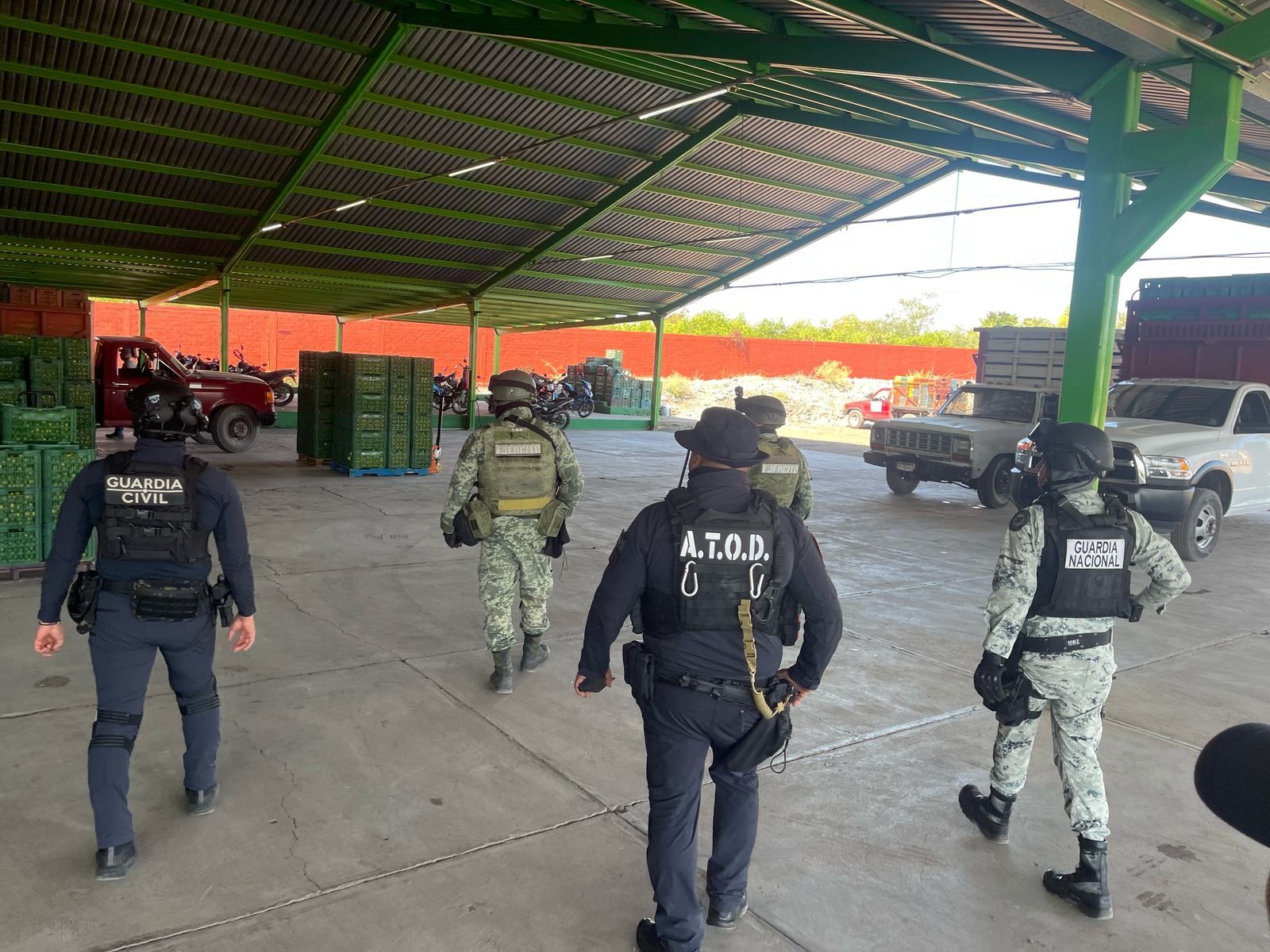 Continúa operativo contra extorsión a limoneros en Tierra Caliente: SSP – El Clarín