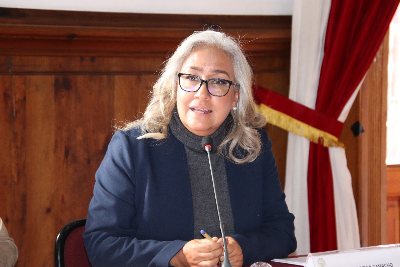 Desde el Congreso, Emma Rivera respalda el Plan México para fortalecer ...